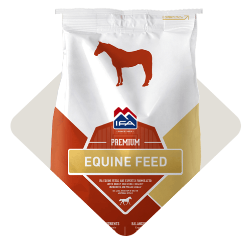 Selecting the Right Rodeo and Ranch Rope | IFA's Helping to Grow Blog