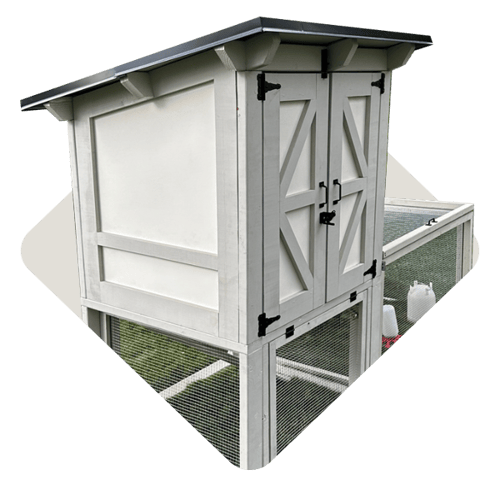 The Hen House: IFA’s Ultimate Guide to Chicken Coops | IFA's Blog