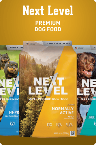 A Guide to Choosing the Right Dog Food | IFA's Blog