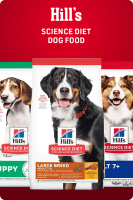 A Guide to Choosing the Right Dog Food | IFA's Blog